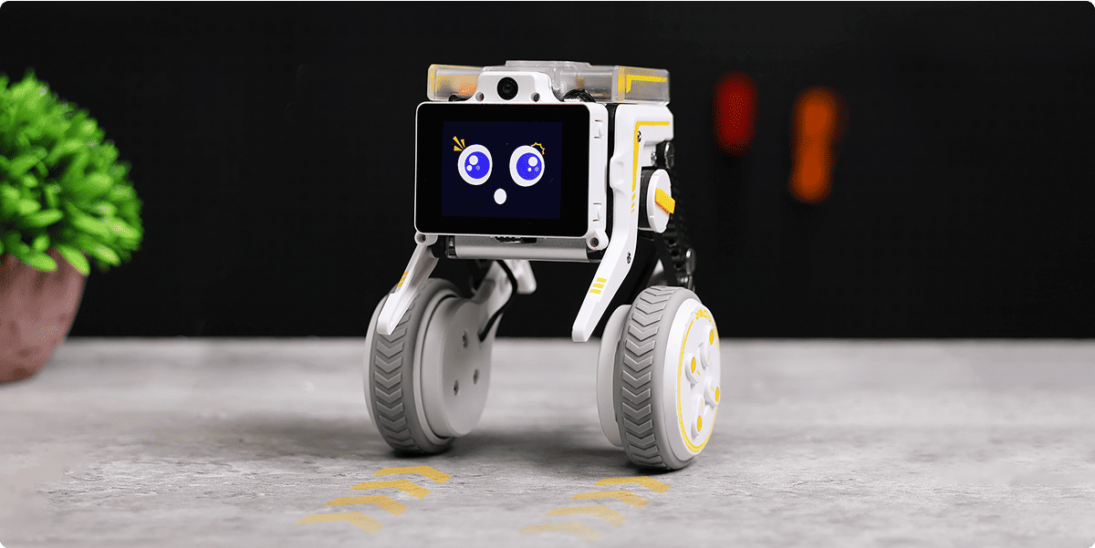 Rider-Pi轮足机器人详情